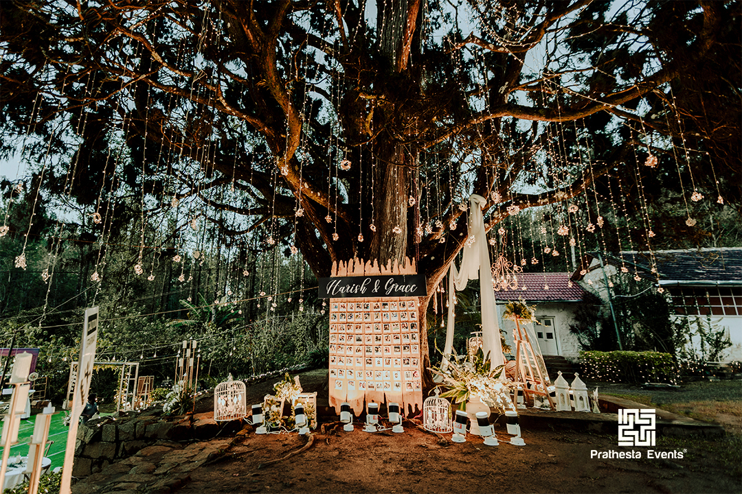 Starry Night Paradise - Prathesta Events
